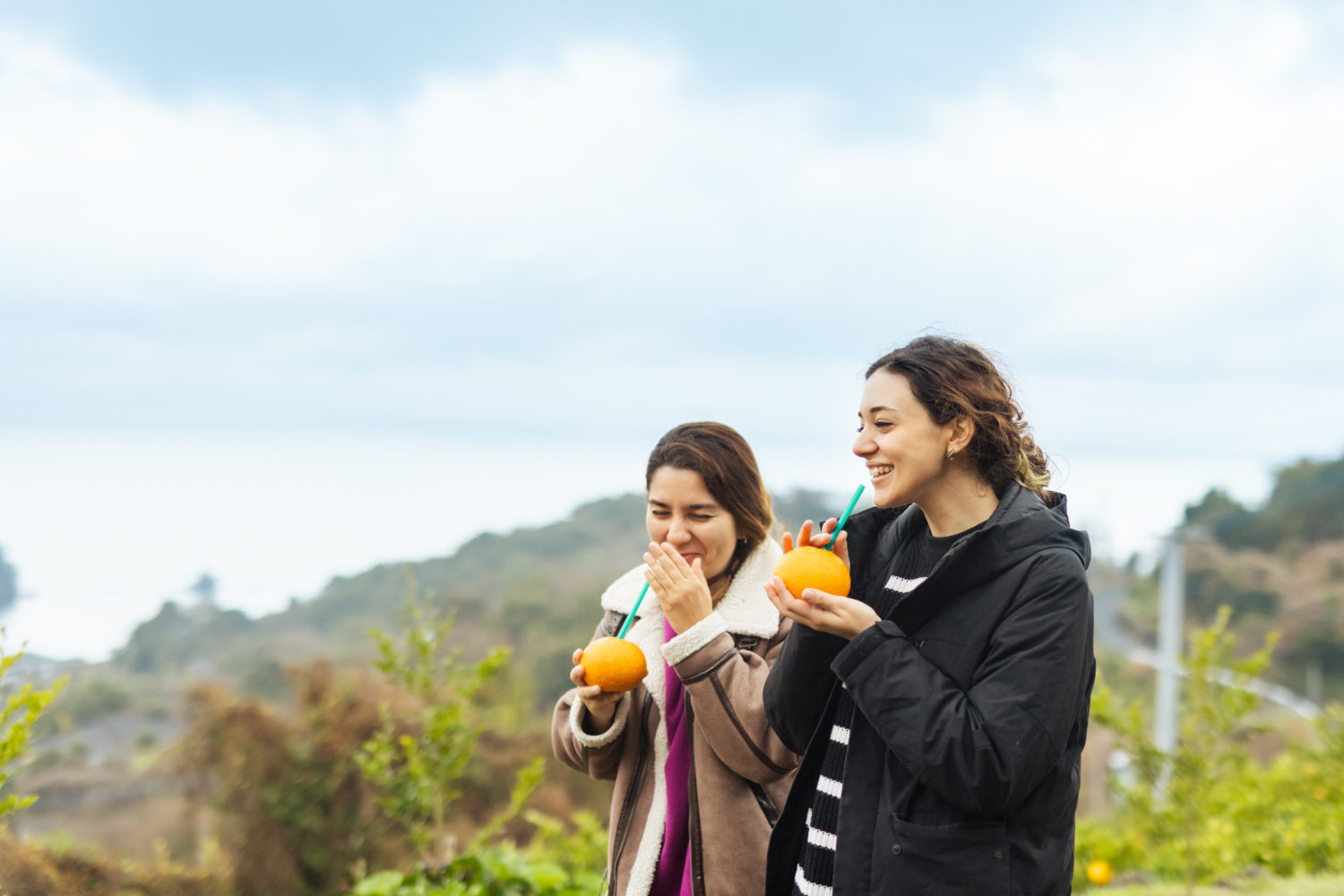 Citrus workshop with Mr. Toshikazu Iwasaki Harvest Amanatsu in an ...